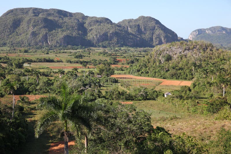 Landschap in Cuba, Gebieden En Paarden Dichtbij Trinidad Stock ...