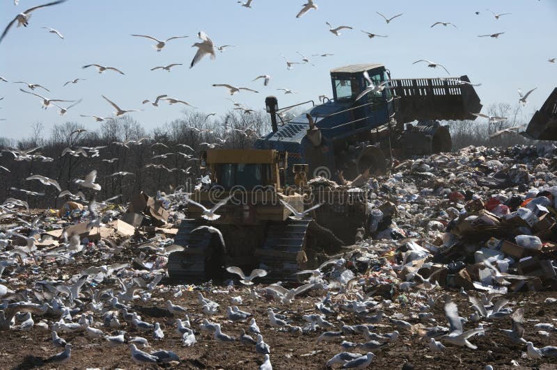Landfill work stock photo. Image of pollution, garbage - 8615614