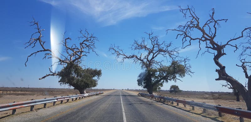 Rakops Stock Photos - Free & Royalty-Free Stock Photos from Dreamstime