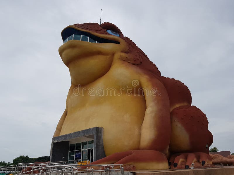 Giant Toad Sculpture Set in Mosaic of Stone Patterns at the Newt, Near ...