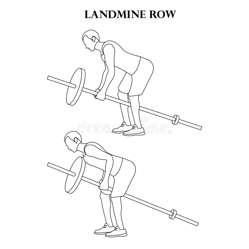Landmine Row Exercise Strength Workout Vector Illustration Outline ...