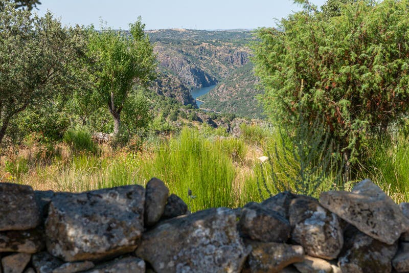 Lands Overlooking Rivern Canyon Stock Photo - Image of stone, duero ...