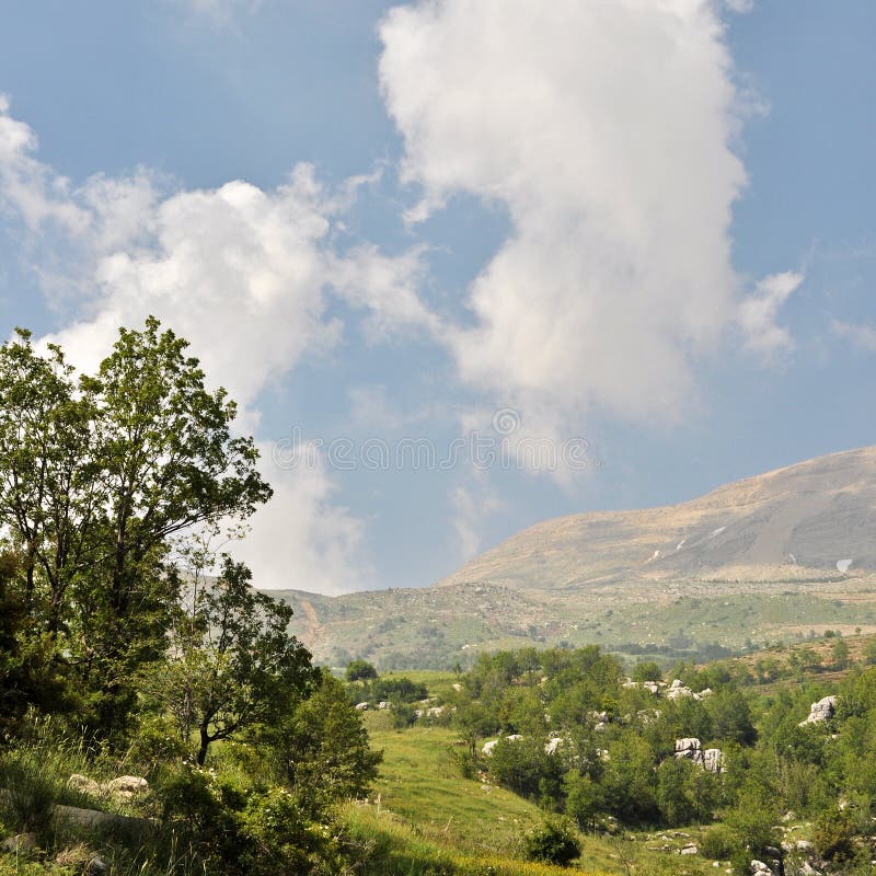 Landscape_02 stock photo. Image of trees, landscapes, baskinta - 9679100