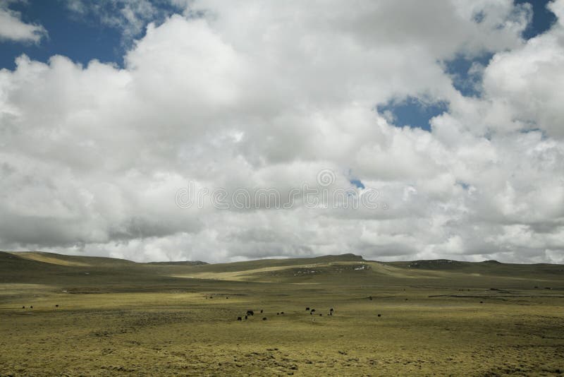 Landscape stock photo. Image of landscape, isolation - 11046026