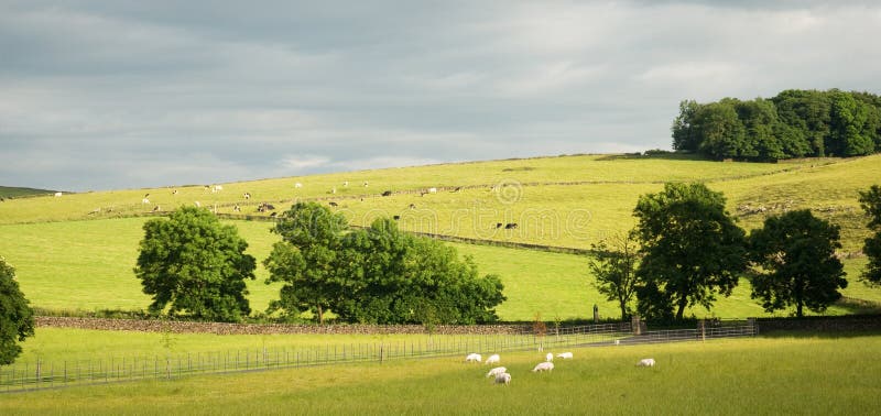 Landscape stock photo. Image of color, foliage, farm - 12039548