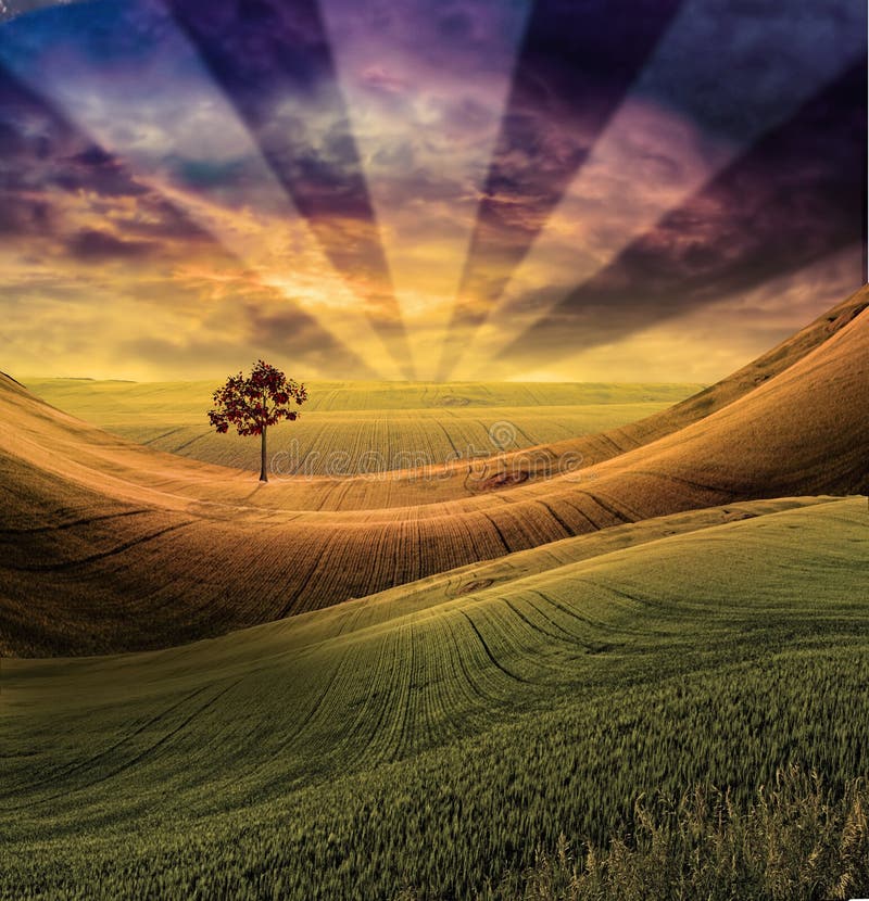 Serene Landscape Stock Illustrations – 2,069,952 Serene Landscape Stock ...