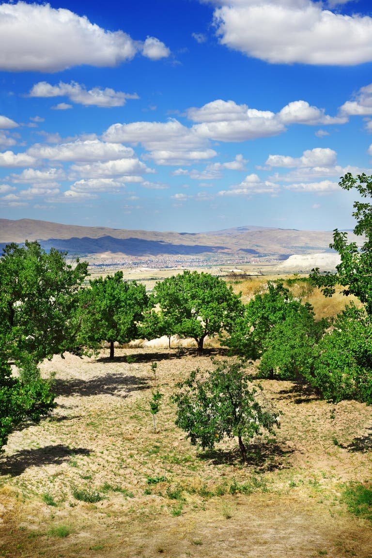 178,807 Turkish Landscape Stock Photos - Free & Royalty-Free Stock ...