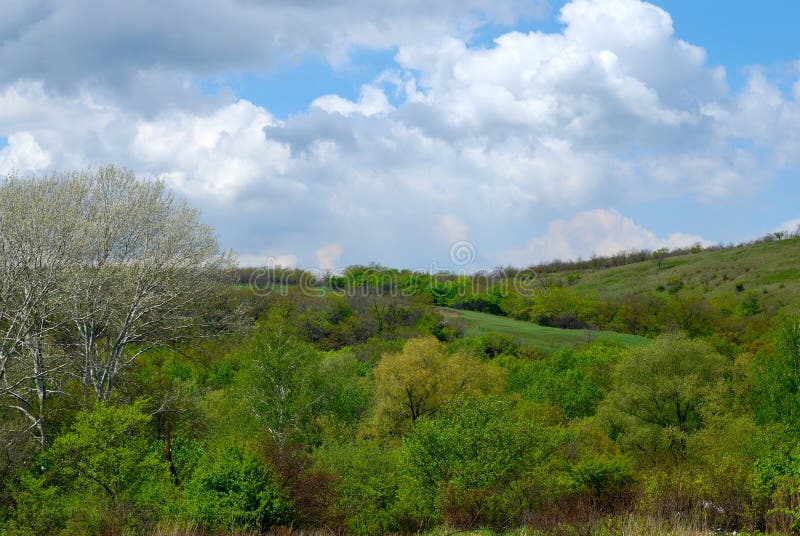 Restricted area stock photo. Image of limits, blue, warning - 75161592