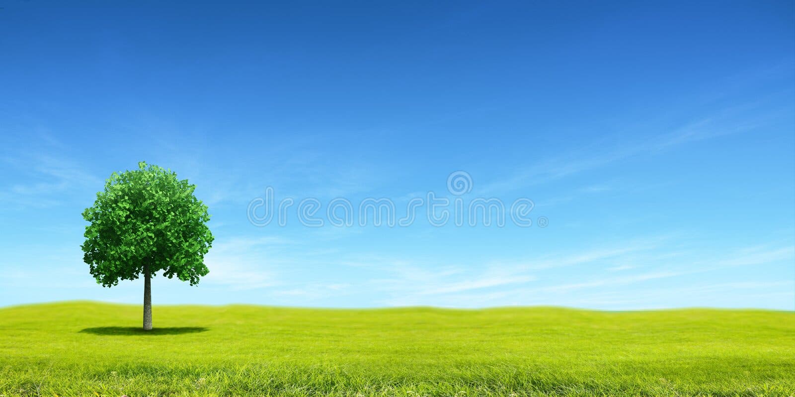 Single tree landscape stock image. Image of bright, focus - 20062269