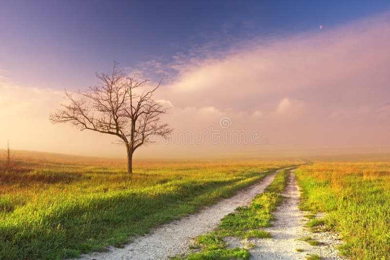 Landscape stock photo. Image of color, view, undisturbed - 23042256