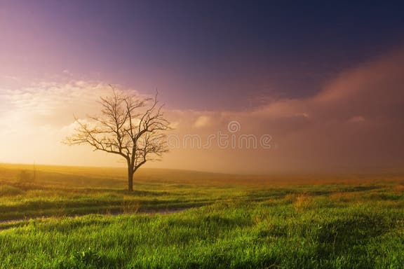 Landscape stock image. Image of outdoor, undisturbed - 26158483