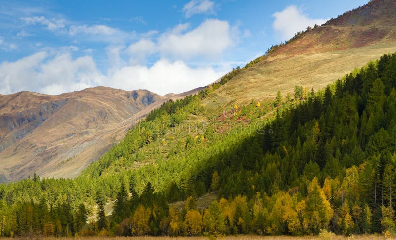 Landscape stock photo. Image of ecosystem, landscape - 27678948