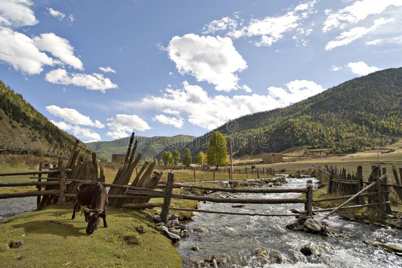 Landscape stock photo. Image of river, rural, clear, summer - 27891872