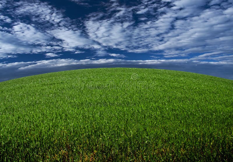 Empty Grassy Field stock photo. Image of simplicity, blow - 787506