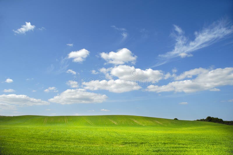 Empty Field stock photo. Image of cloudscape, scenics - 4983734