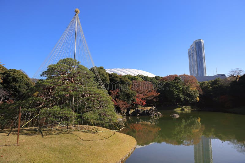 Landscape with Abandoned Foliage Reflecting on Lake Nov 29 2023 ...
