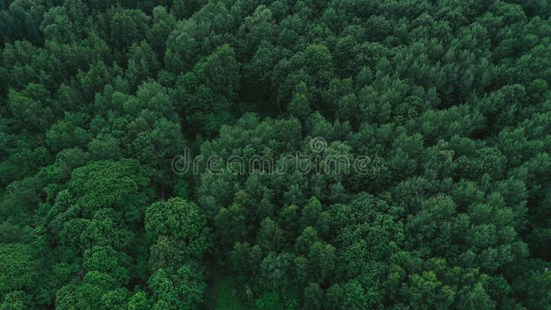 Landscape from above stock photo. Image of nature, meadow - 154727336