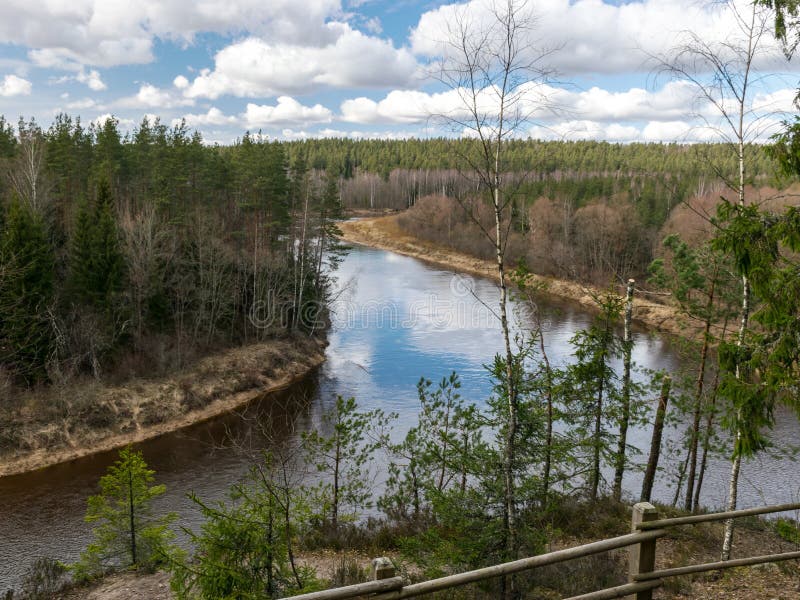 Landscape from Above, River Forest Landscape, Forest River Reflection ...
