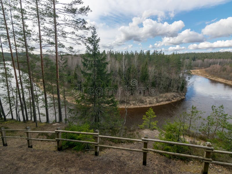 Landscape from Above, River Forest Landscape, Forest River Reflection ...