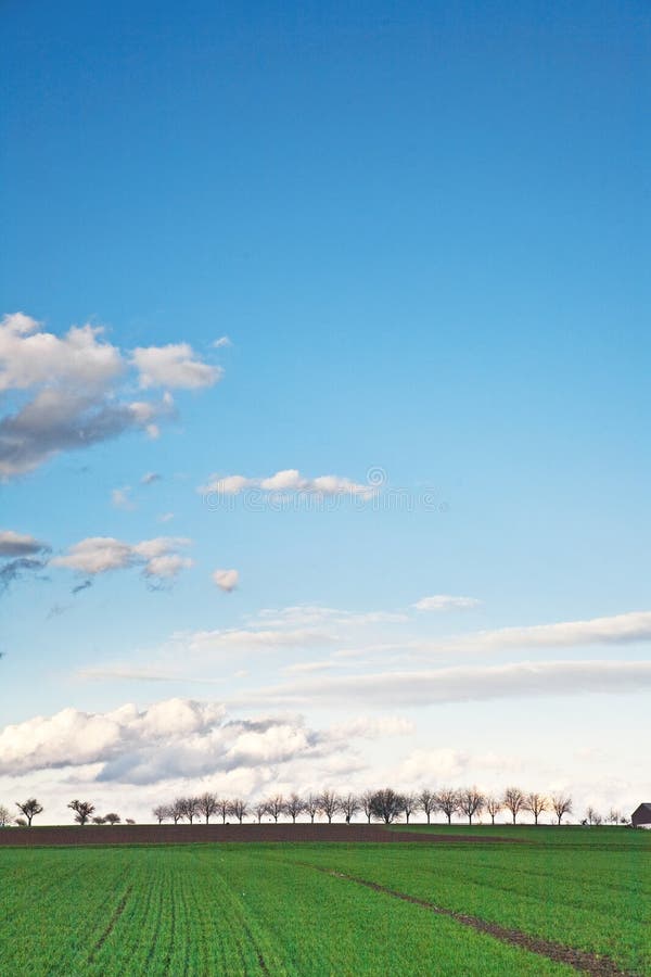 Landscape with Acres,trees and Dark Clouds Stock Image - Image of farm ...