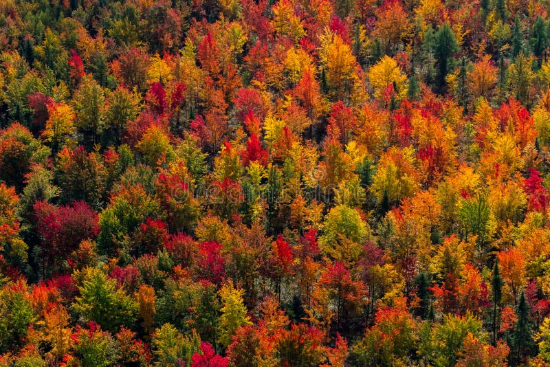 Landscape aerial view stock image. Image of autumn, colorful - 77263973