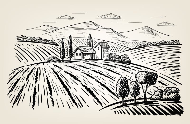 Landscape with Agrarian Fields Stock Vector - Illustration of line ...