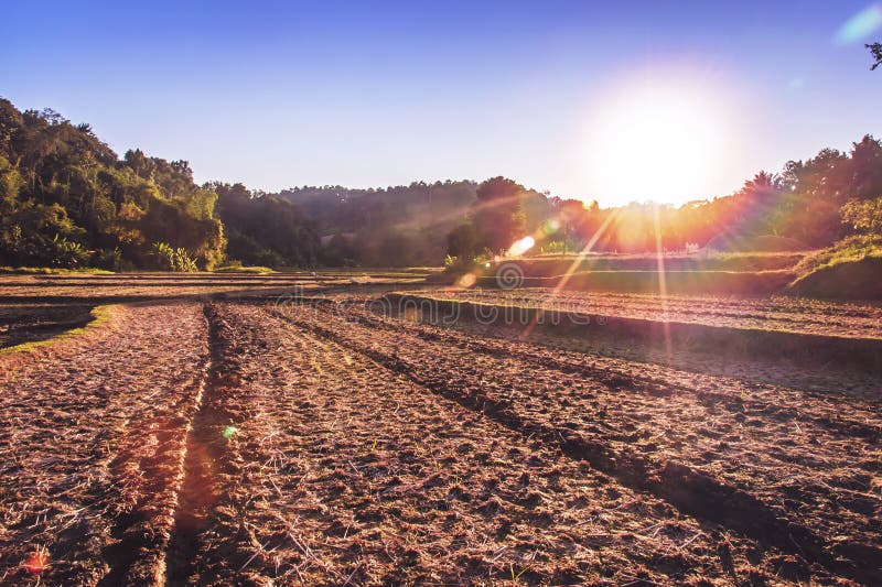Landscape Agricultural Field Arable Land Stock Photo - Image of dust ...