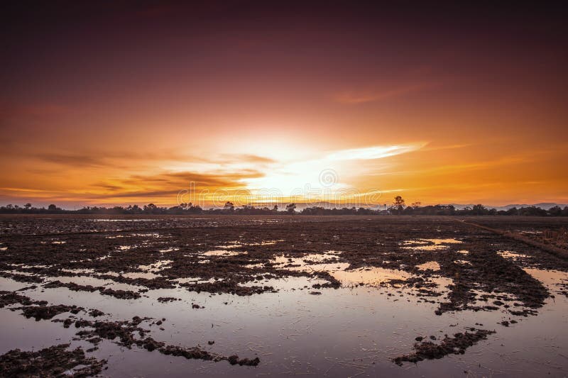 Landscape Agriculture Farm Field at Sunset Stock Photo - Image of ...