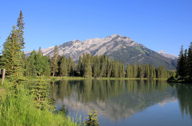 Landscape in Alberta stock image. Image of nature, canada - 42966551