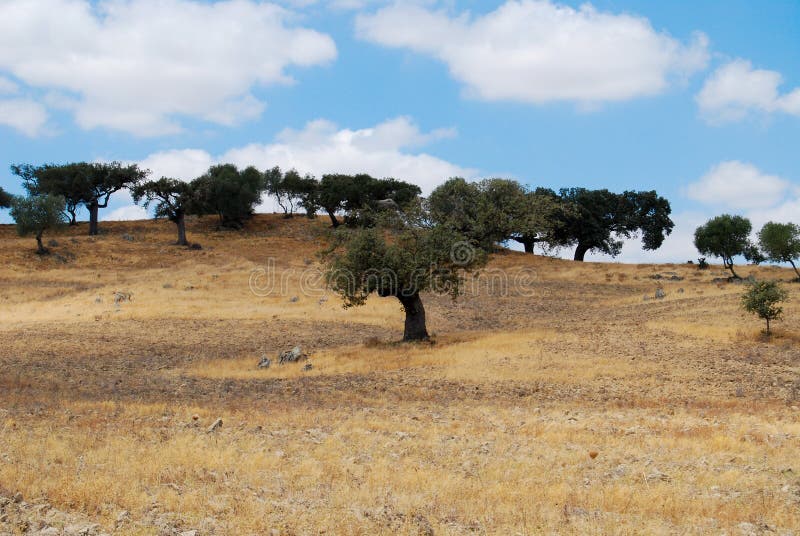 Landscape in Alentejo stock image. Image of idyllic, nature - 31049729