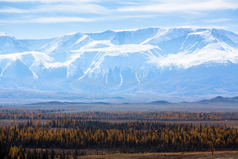 Landscape of the Altai Mountains. Altai Republic Stock Photo - Image of ...
