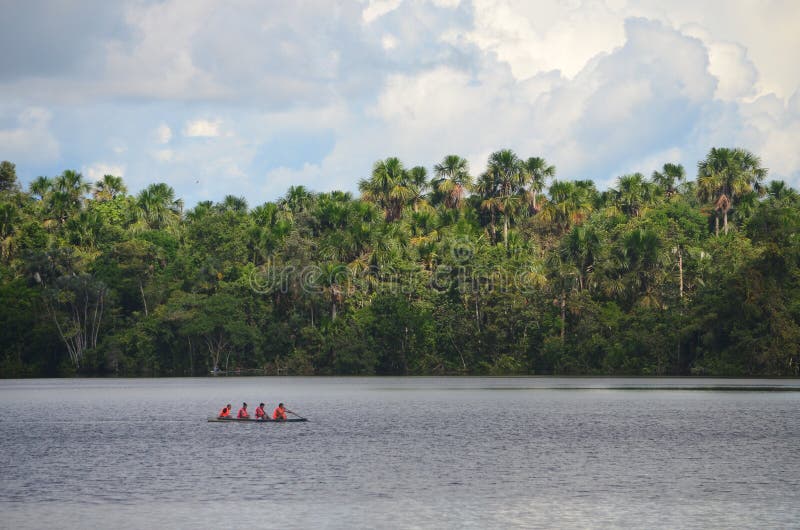 Landscape of the Amazon Rainforest. Iquitos, Peru Editorial Photo ...