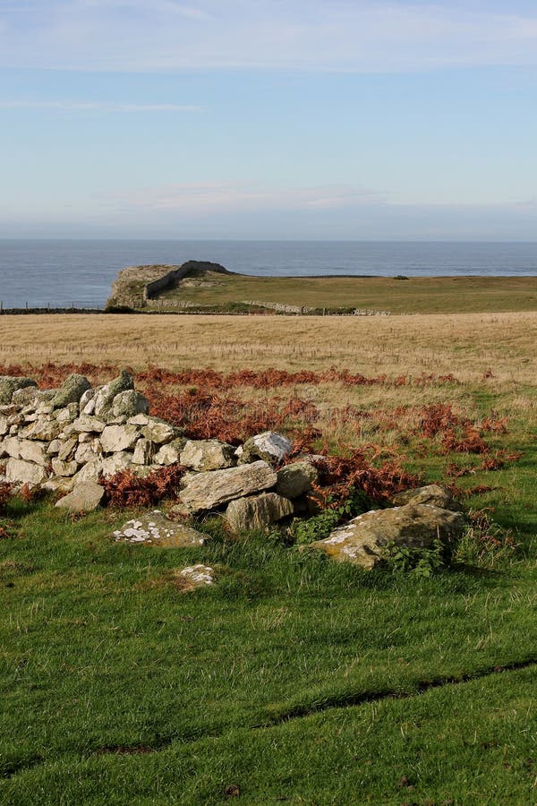 Landscape on Anglesey stock photo. Image of anglesey - 62007758