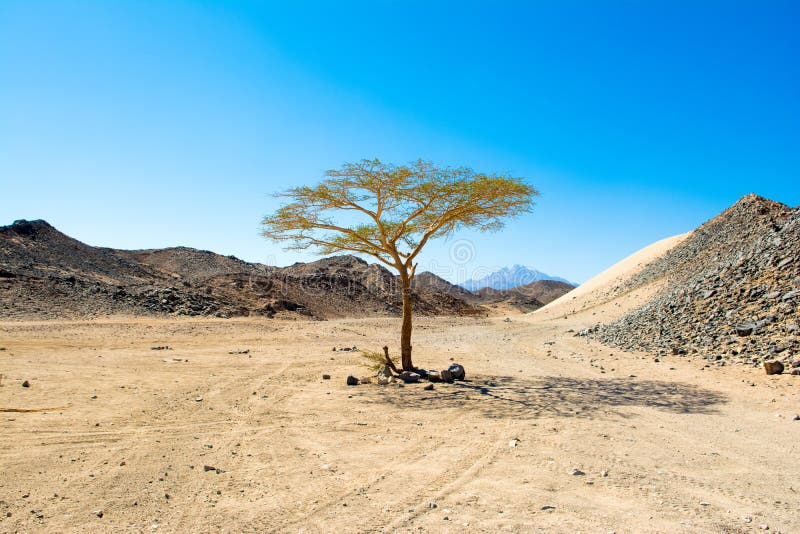 Landscape of the Arabian Desert Stock Image - Image of sand, hill ...