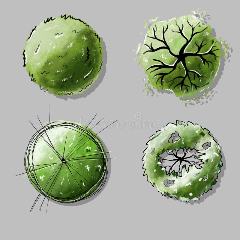 Landscape Architect Design Tree Plan. Type of Turf in Different Types ...