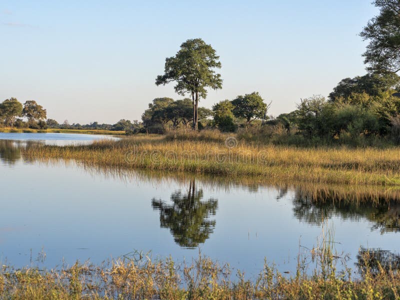 Landscape Around the Lake, Reservation Bwabwata, Namibia Stock Image ...