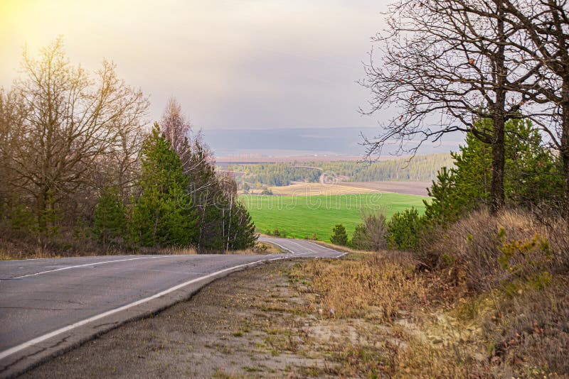 Landscape Asphalt Road in the Forest in the Distance Stock Photo ...