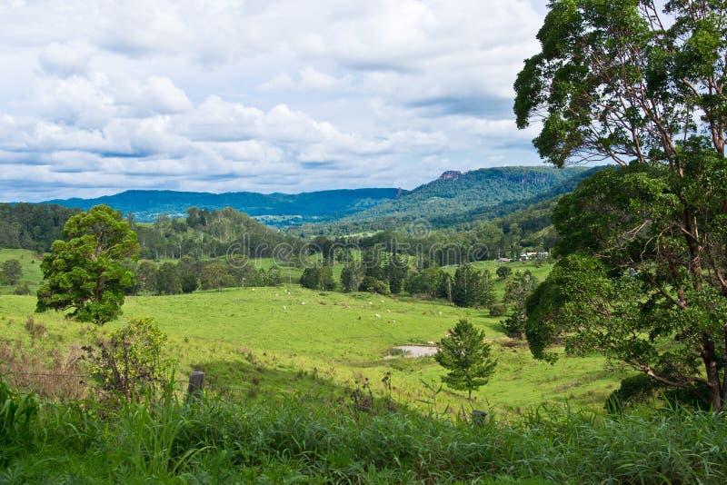 Landscape in Australian Hinterland Stock Image - Image of hill, tree ...