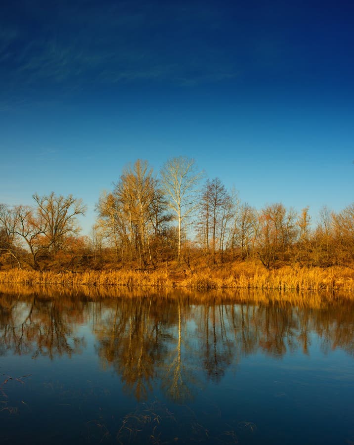 Landscape stock image. Image of forest, stream, bank - 46974409