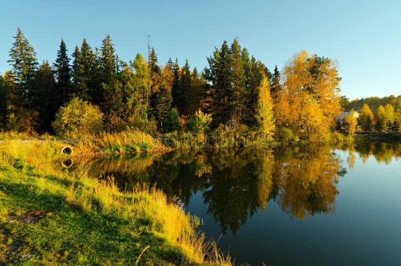 Autumn Forest and Lake in the Fall Season Stock Image - Image of ...