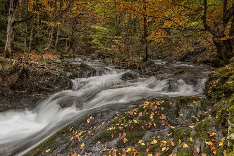 Landscape of the Autumn Forest and Small Long Exposed River Stock Image ...