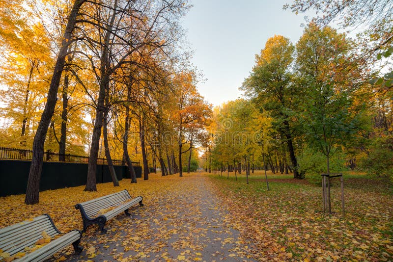 Landscape in autumn park stock image. Image of nature - 171389641