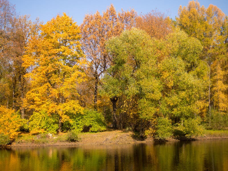 Landscape in autumn park stock photo. Image of reflection - 232065524