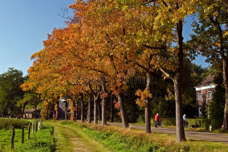Landscape in Autumn of a Road with Trees Stock Photo - Image of ...