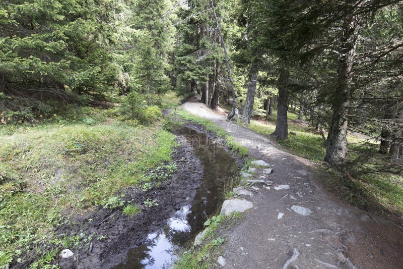 A landscape in Ayas valley stock photo. Image of abruzzi - 379163638