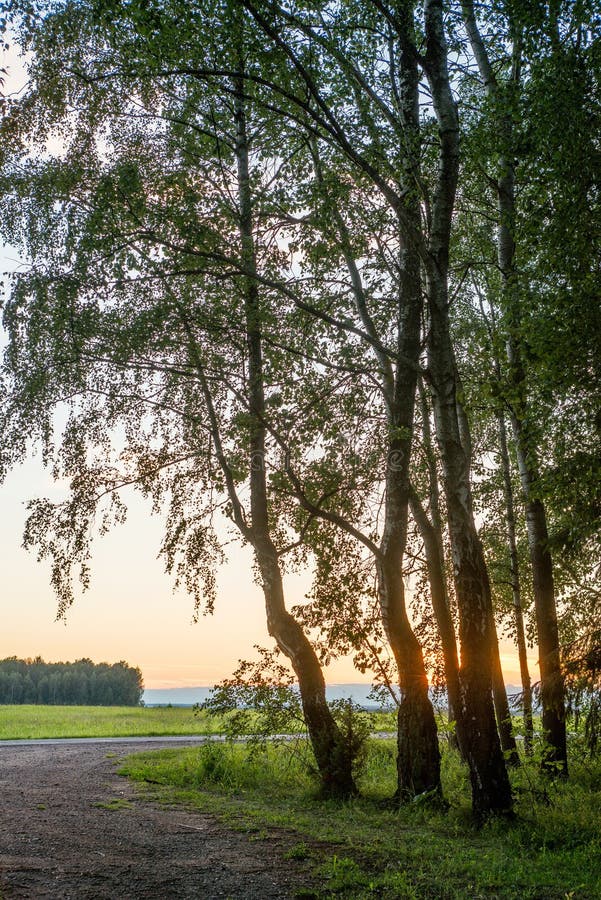 Landscape in the backlight stock photo. Image of belarus - 248120370