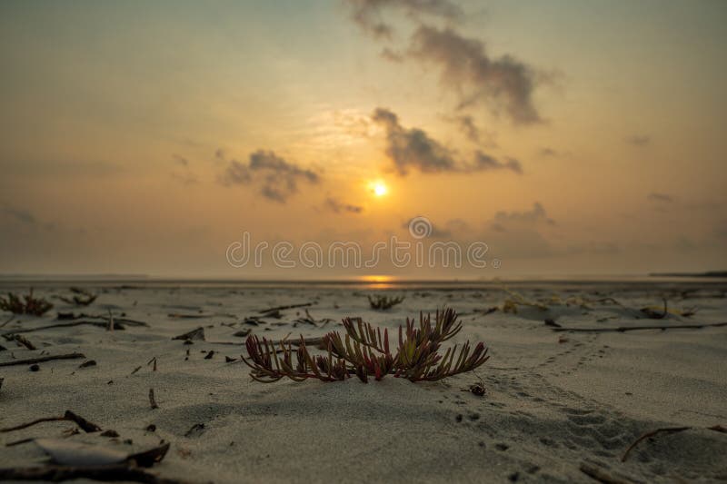 Landscape of Bakkhali Sea Shore Stock Photo - Image of beautiful ...