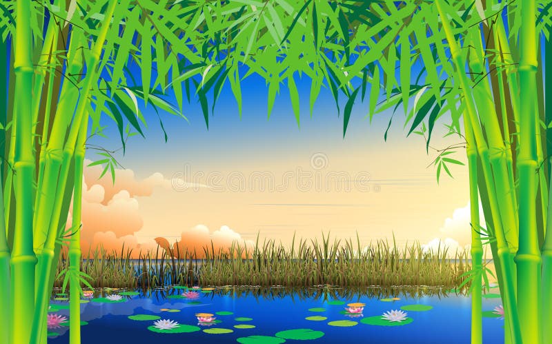 Sunlight on the sky stock image. Image of grove, bamboo - 157438939