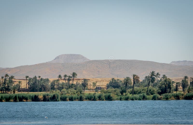 Landscape on the Banks of the Nile River. Egypt Stock Image - Image of ...