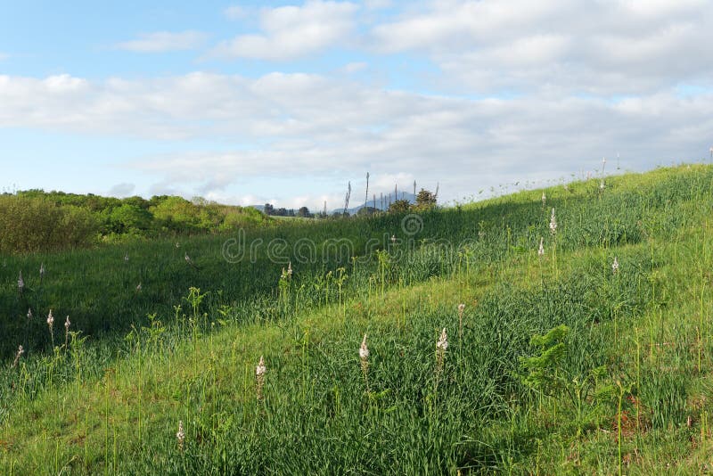Landscape of Basque Country Stock Photo - Image of cliffs, landscape ...